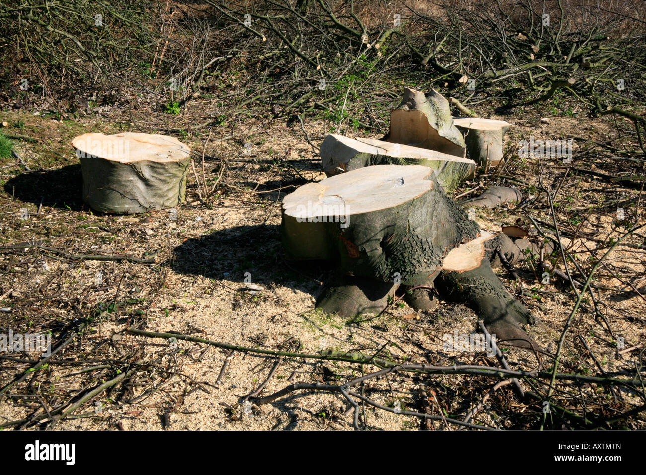 Barrow common brancaster hi-res stock photography and images - Alamy