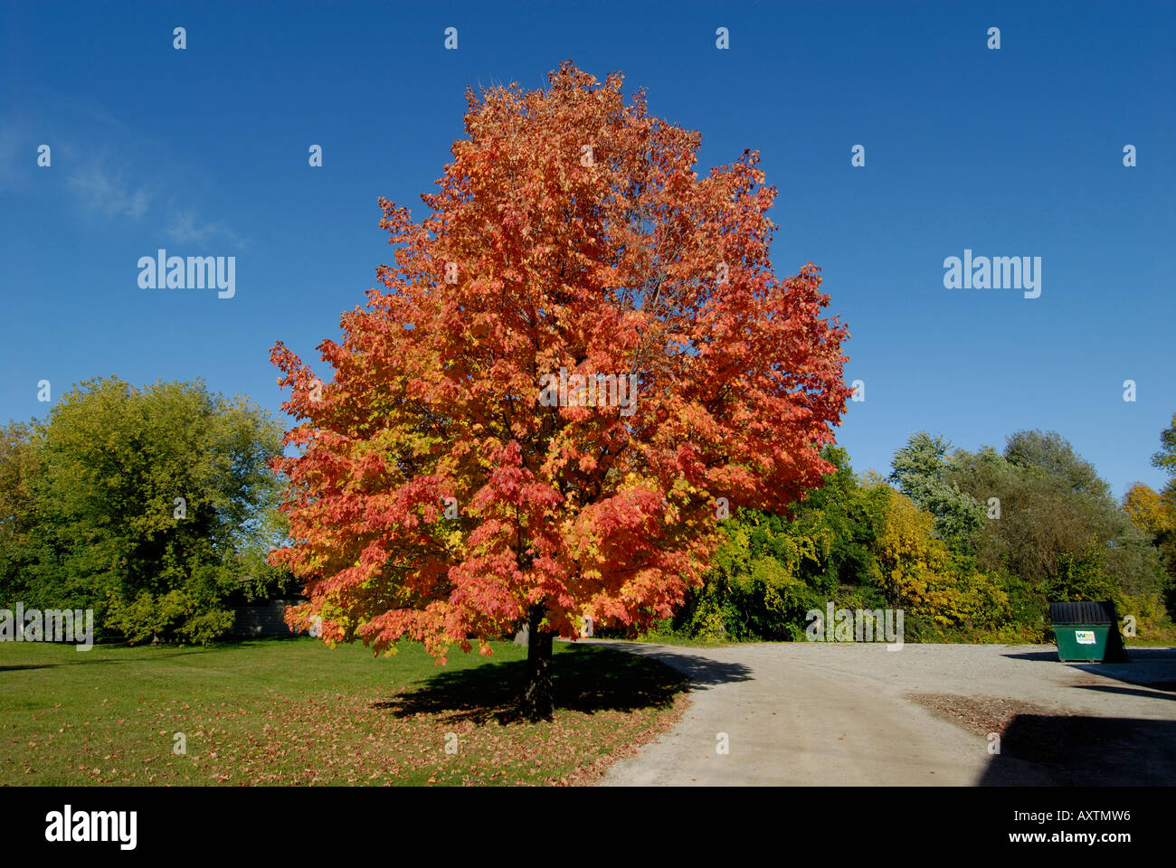 Autumn Fall colors in the countryside surrounding Springfield Illinois ...