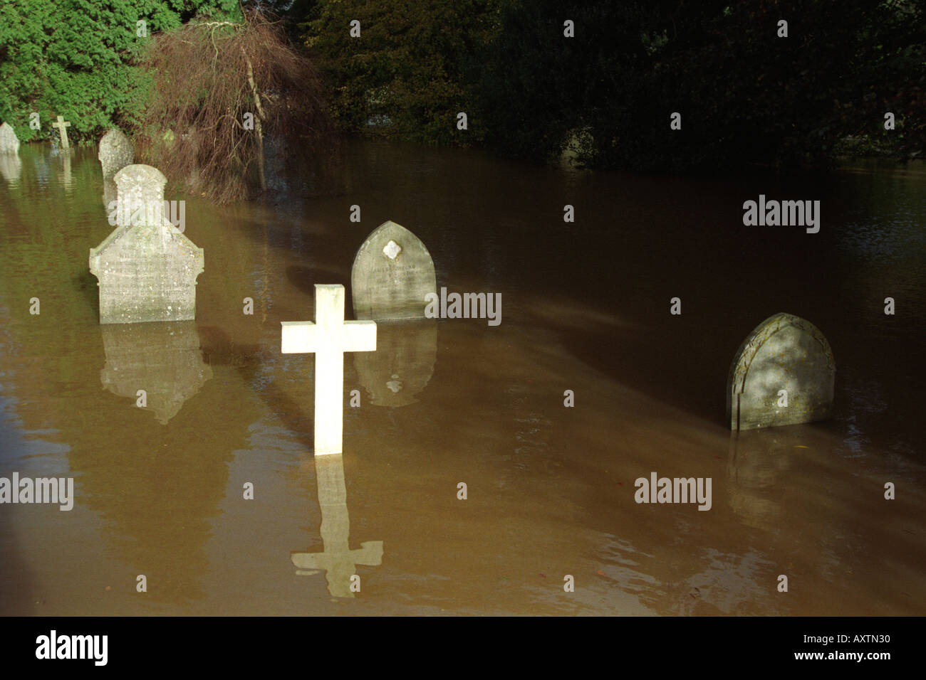 Underwater cemetery hi-res stock photography and images - Alamy