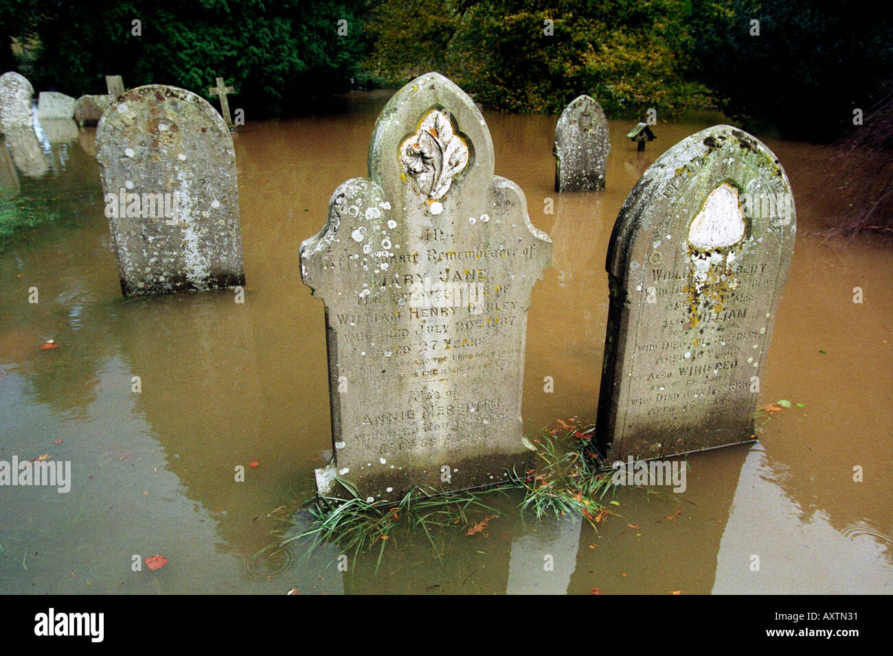 Underwater cemetery hi-res stock photography and images - Alamy