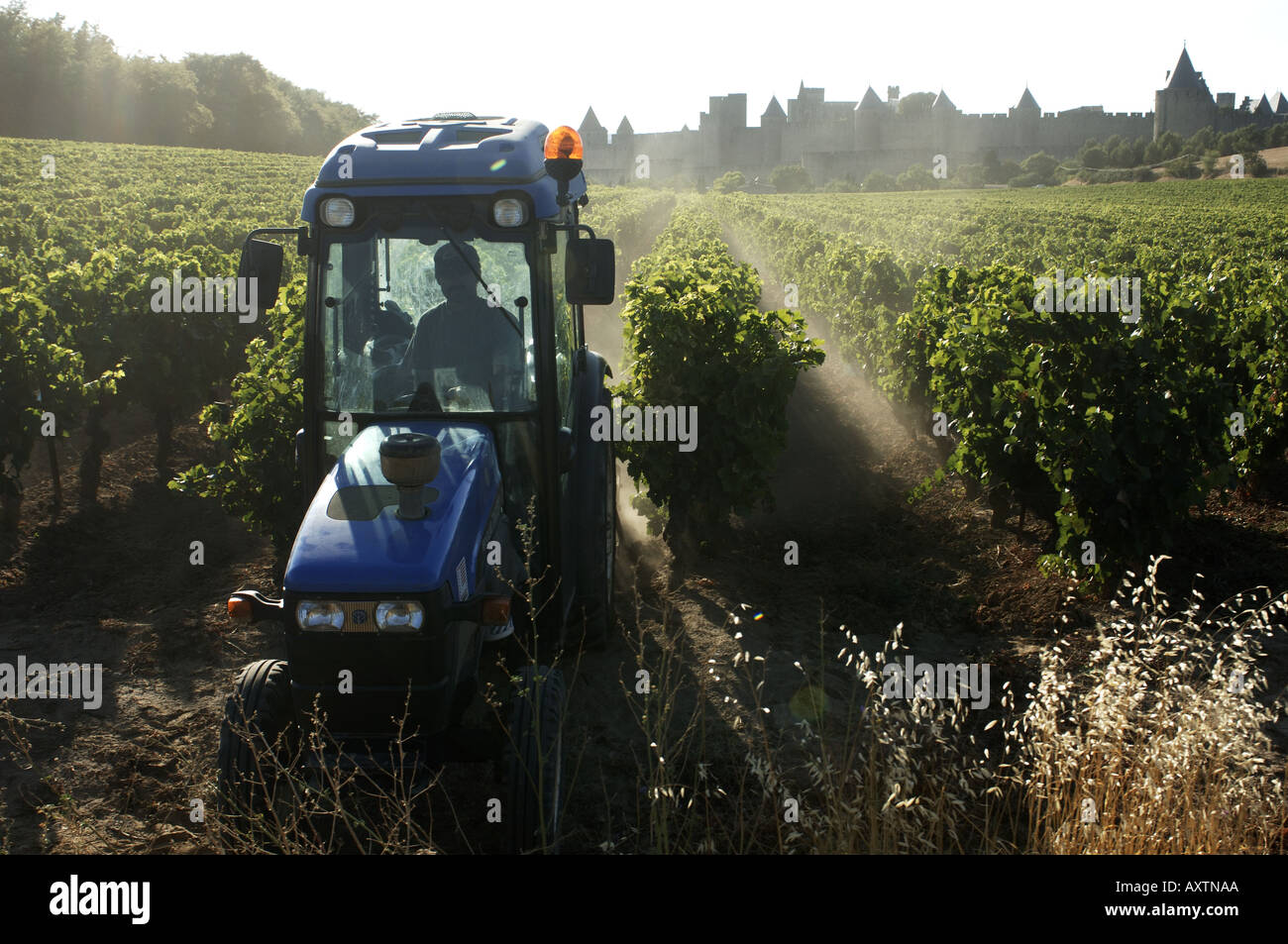 Medieval farmer hi-res stock photography and images - Alamy