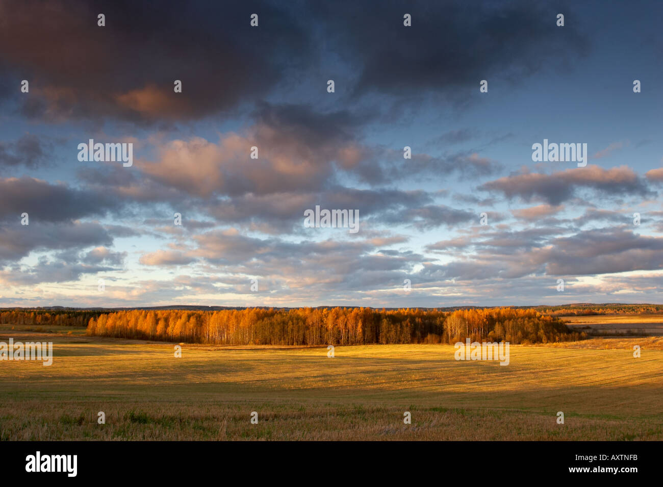 Hill of angels hi-res stock photography and images - Alamy