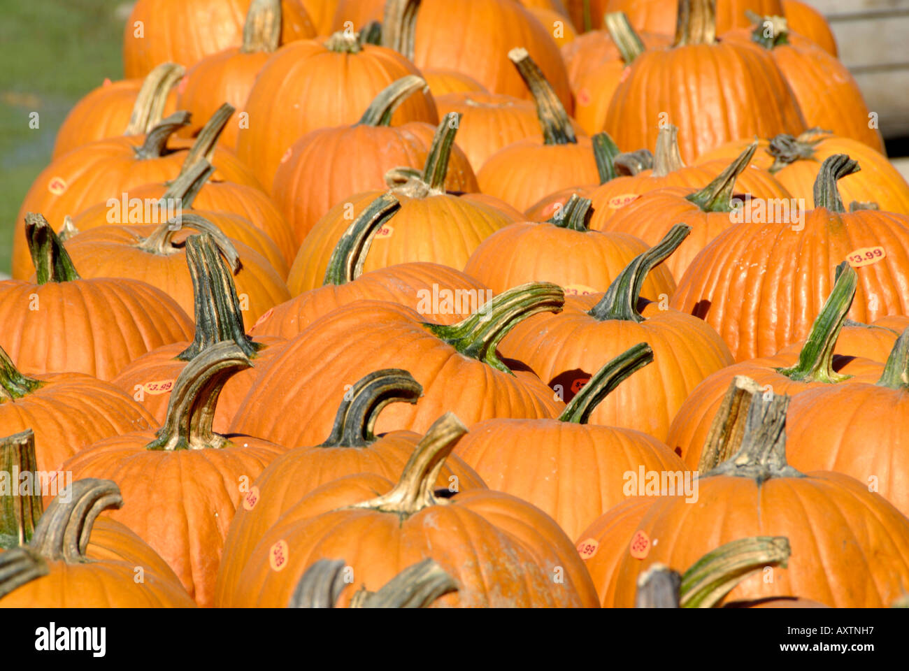 Colorful new hampshire hi-res stock photography and images - Alamy