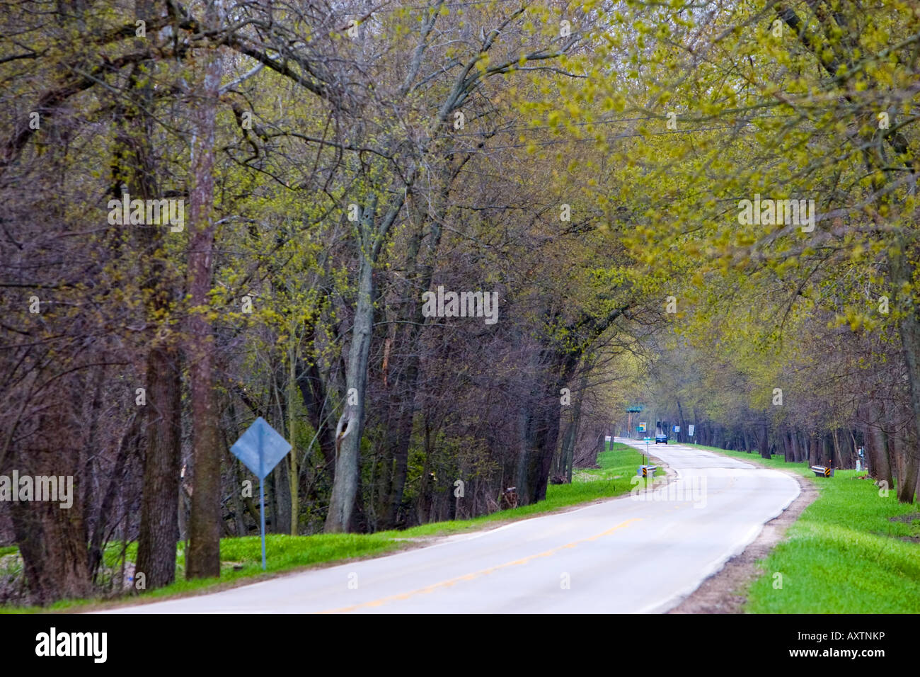 An empty road wanders through a forest as the trees begin to bud in the ...
