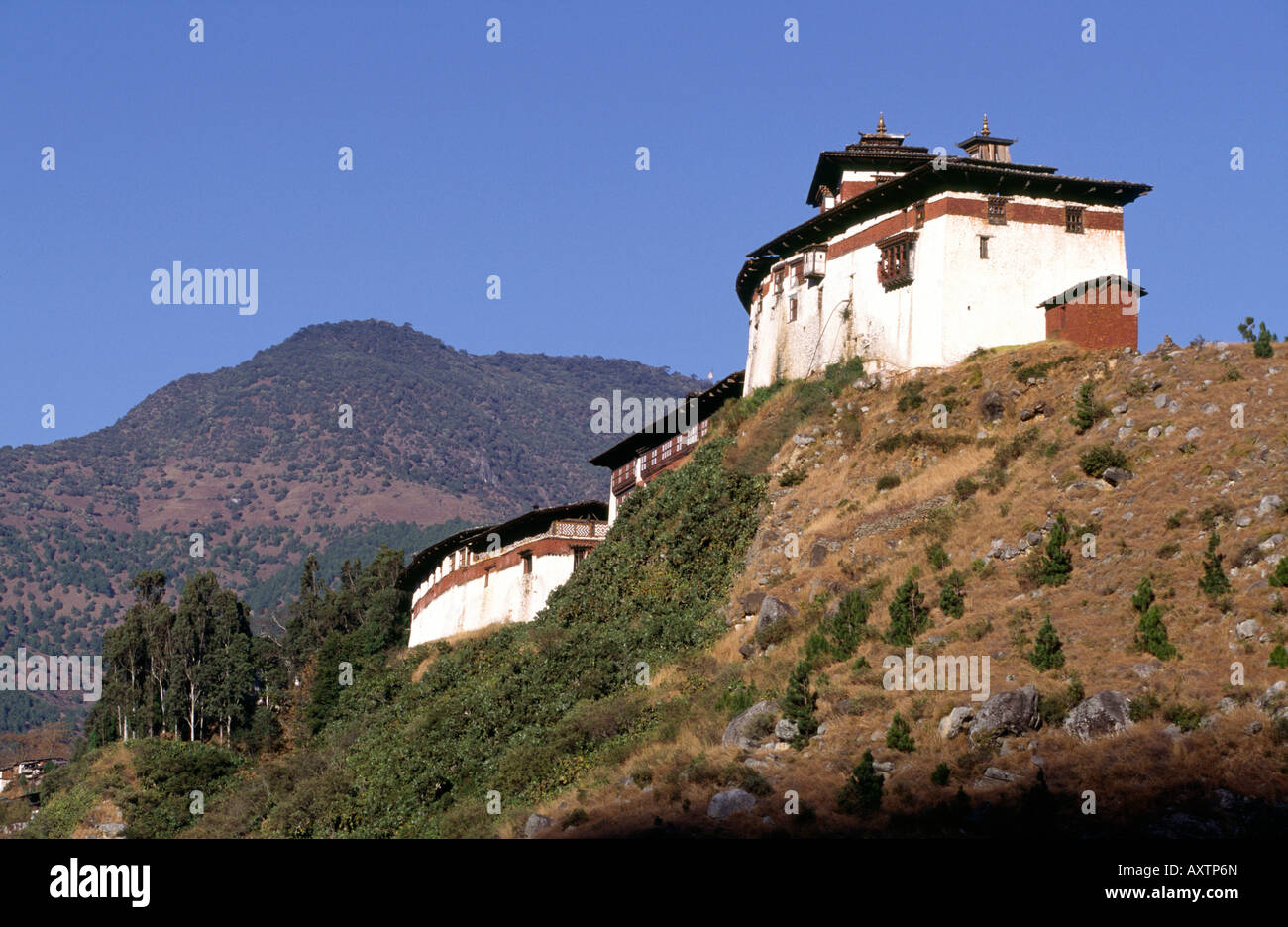 Wangdue phodrang dzong hi-res stock photography and images - Alamy