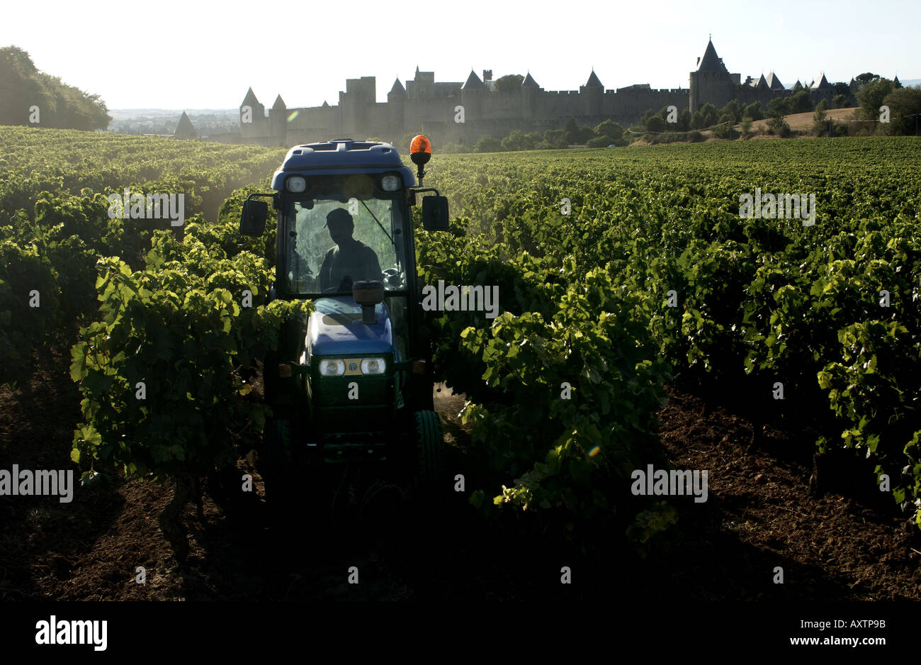 Medieval farmer hi-res stock photography and images - Alamy
