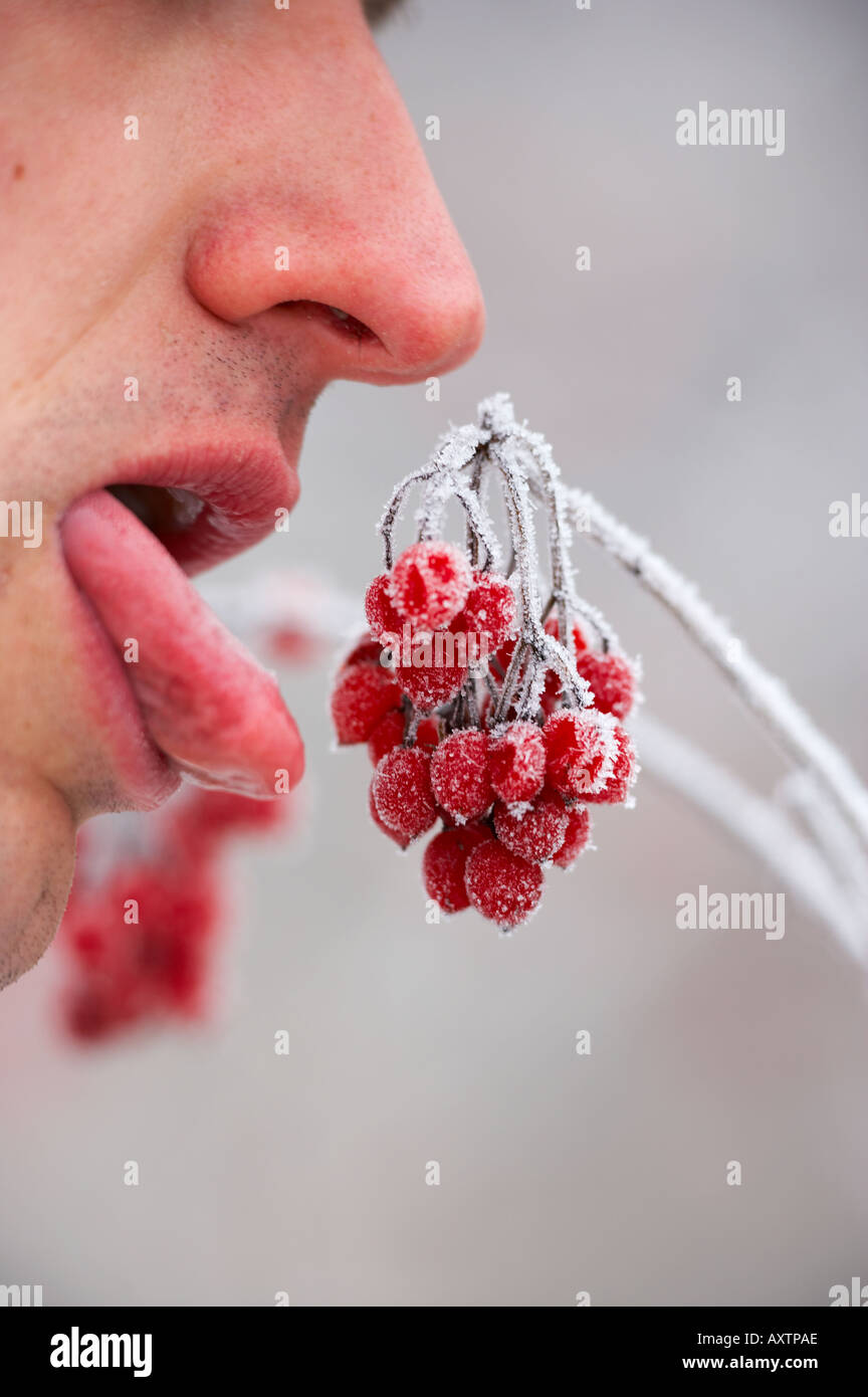 Lickable hi-res stock photography and images - Alamy
