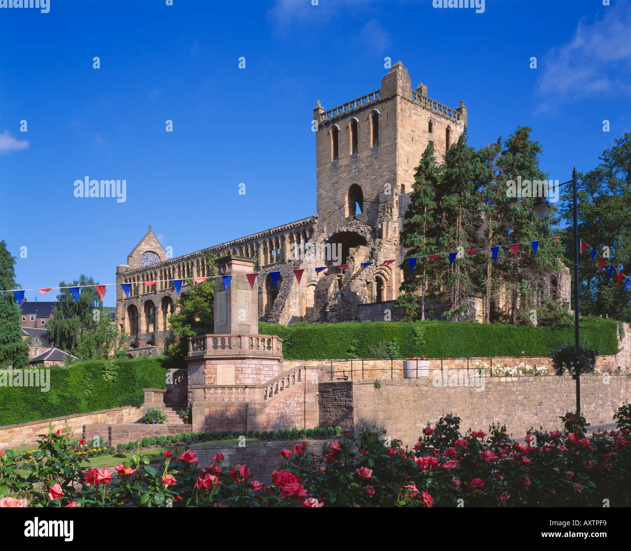 Jedburgh abbey scotland hi-res stock photography and images - Alamy