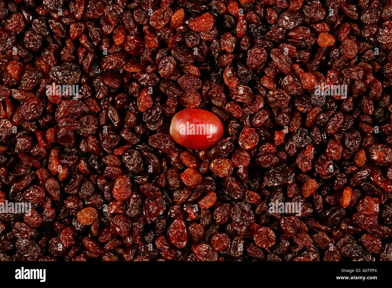 Grape one hi-res stock photography and images - Alamy