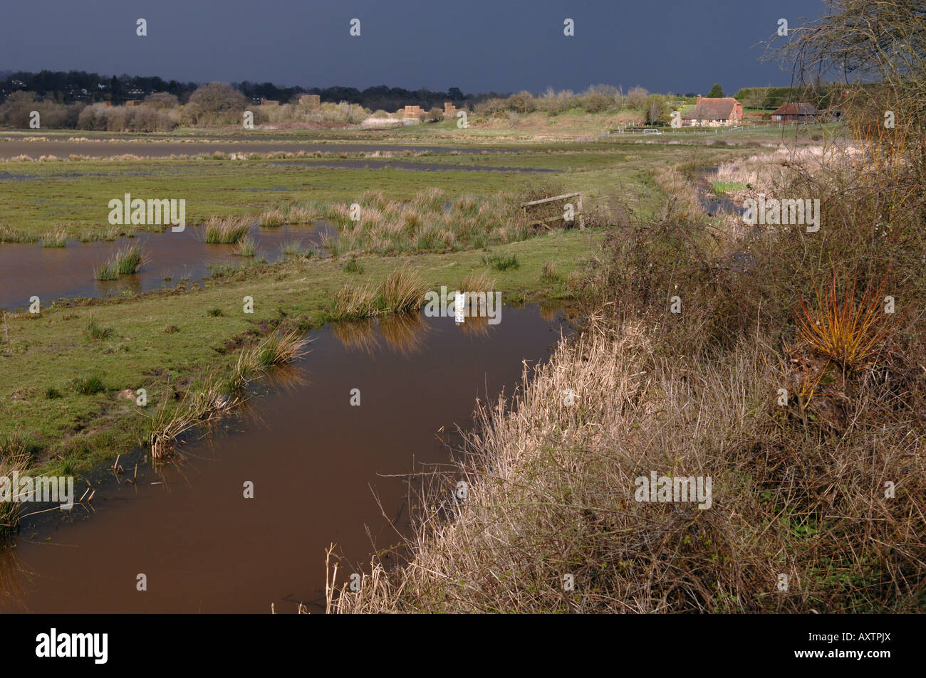 Looking out over the RSPB Pulborough Brooks nature reserve in Sussex ...