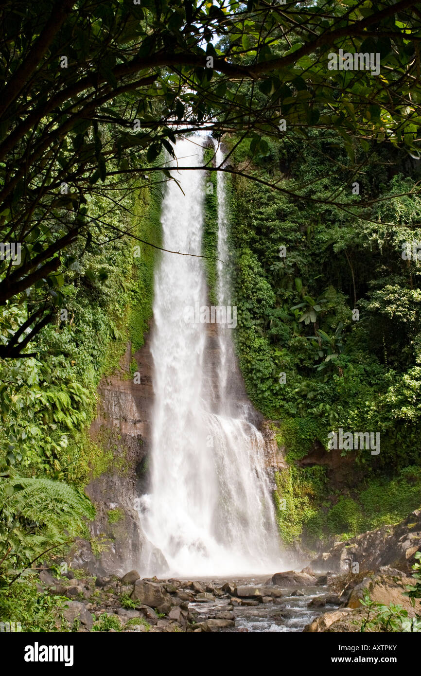 Gitgit waterfall, Bali, Indonesia Stock Photo - Alamy