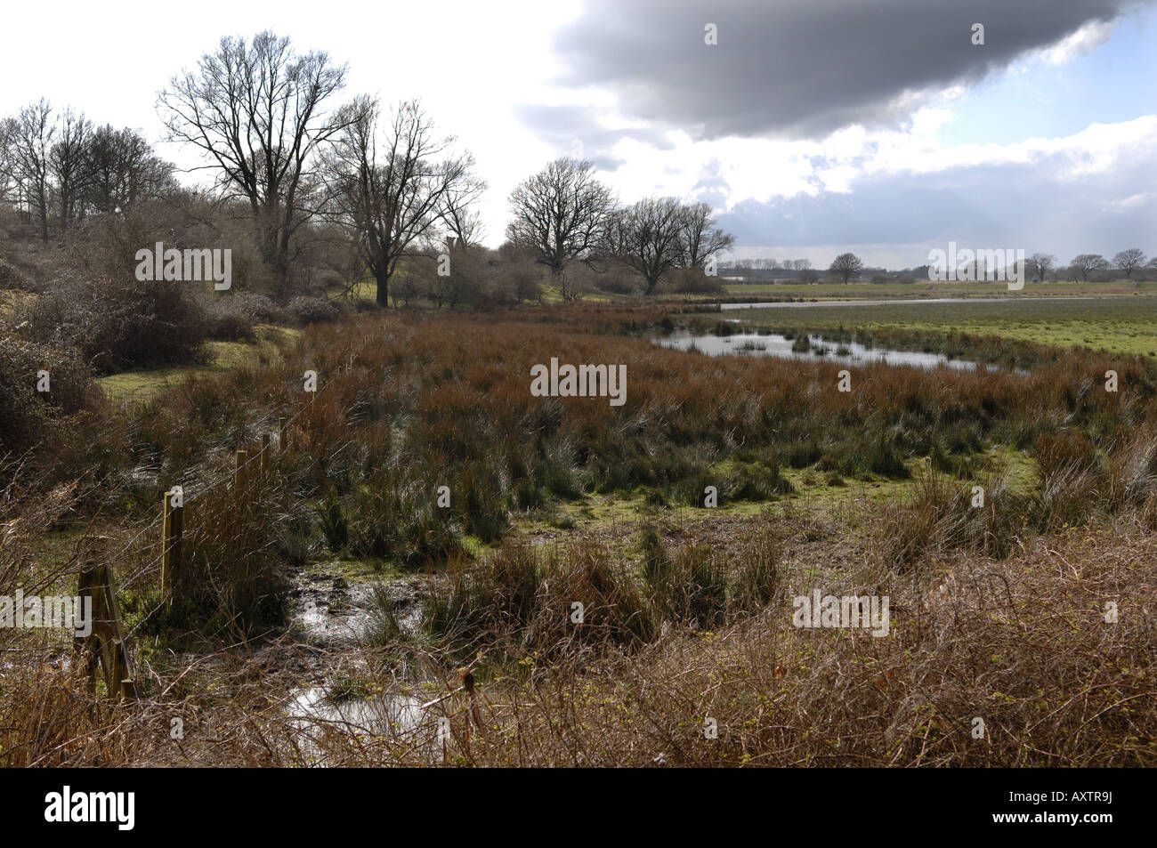 Looking out over the RSPB Pulborough Brooks nature reserve in Sussex ...