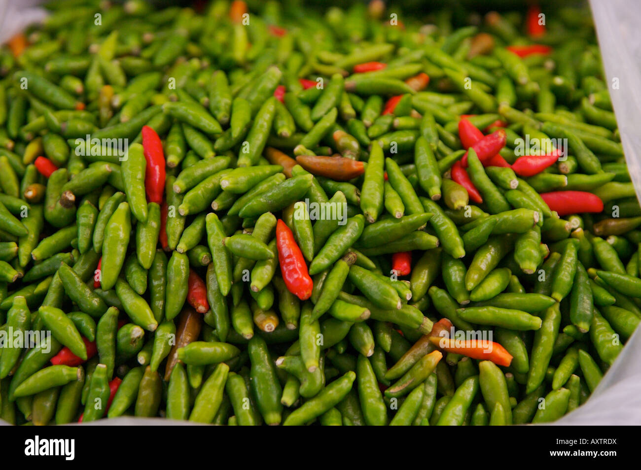 Ripe chilies hi-res stock photography and images - Alamy
