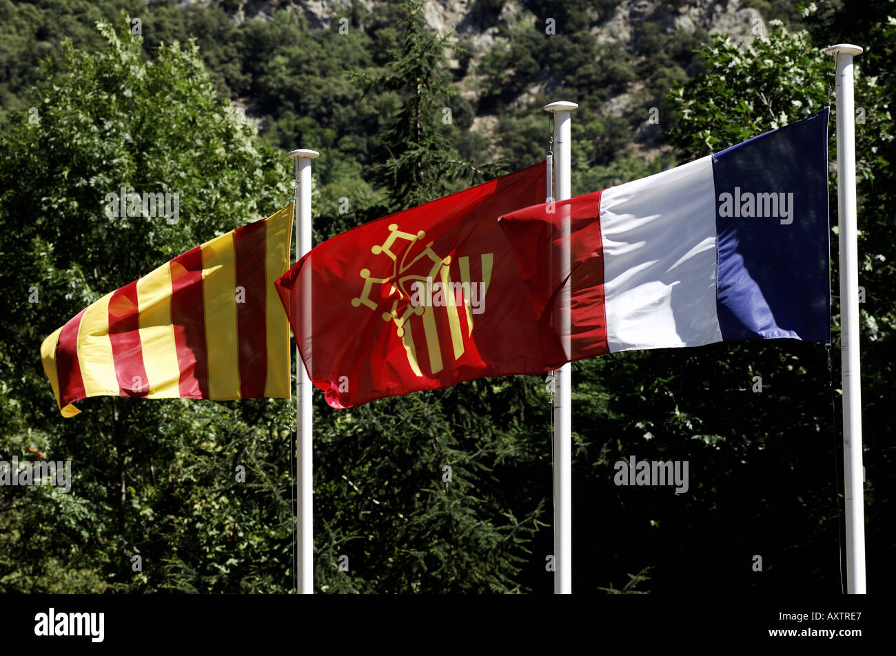 Cathar flag hi-res stock photography and images - Alamy