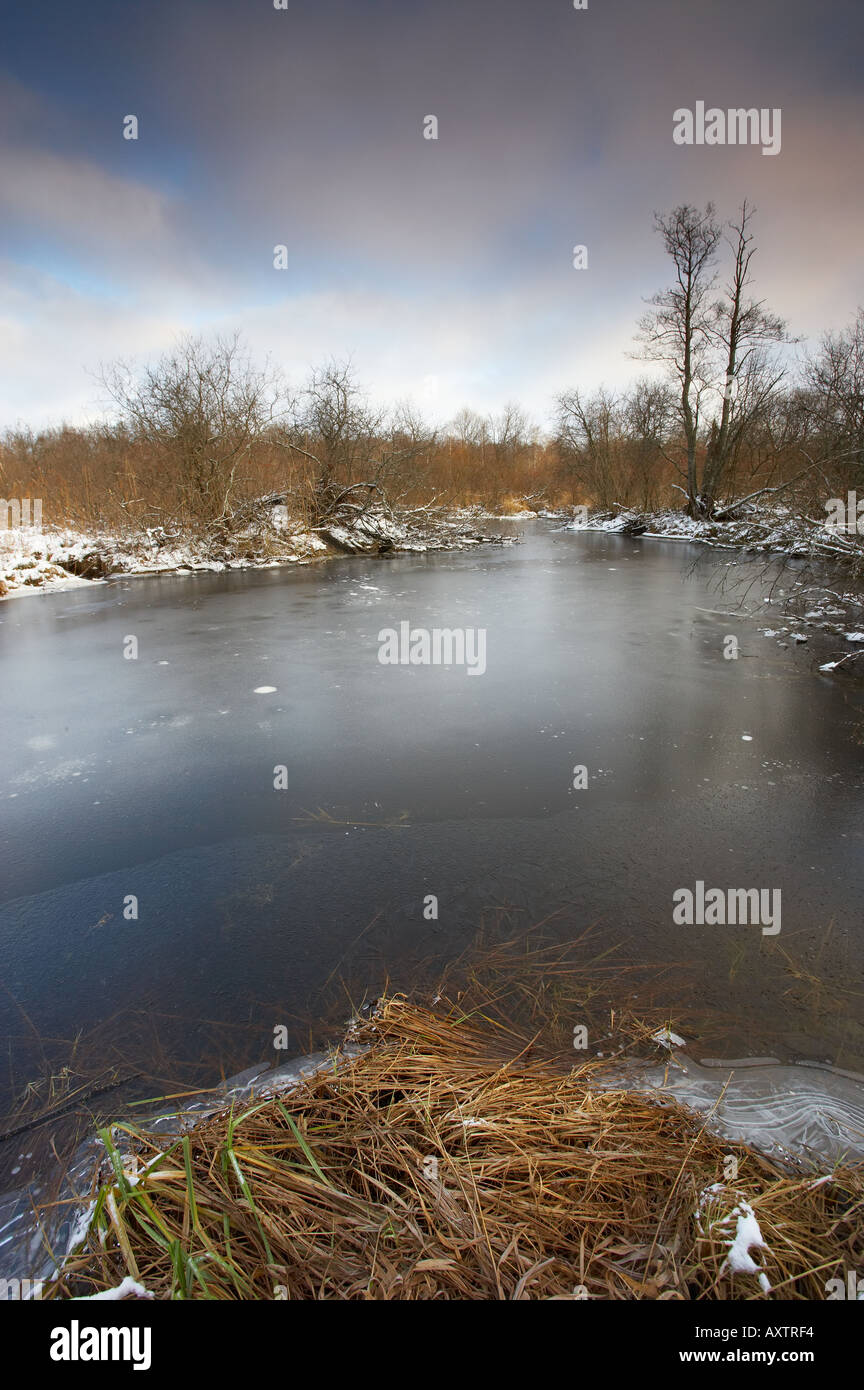 Habitat elements hi-res stock photography and images - Alamy
