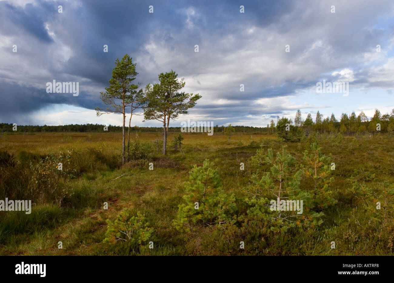 Threathening sky hi-res stock photography and images - Alamy