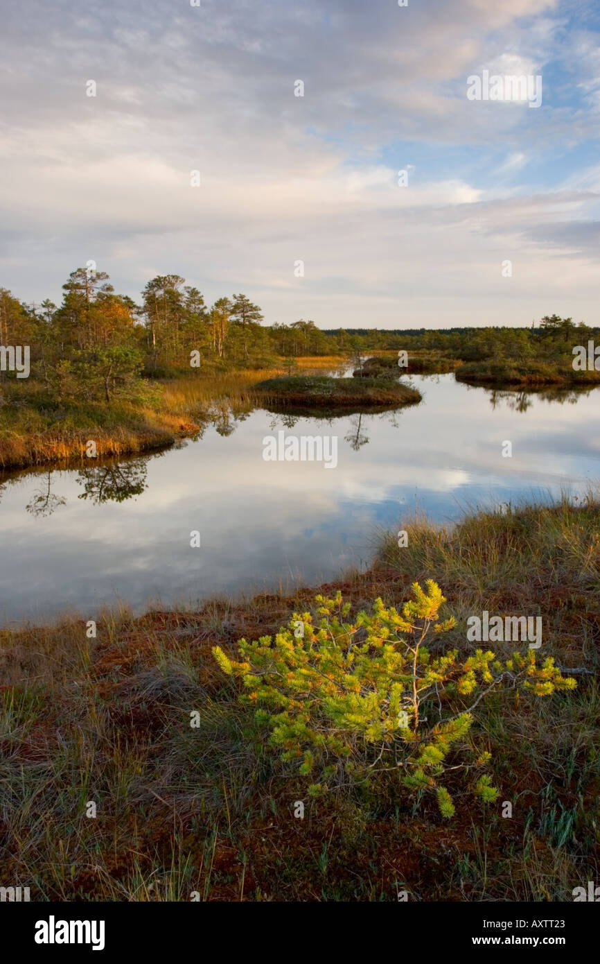 Endla hi-res stock photography and images - Alamy