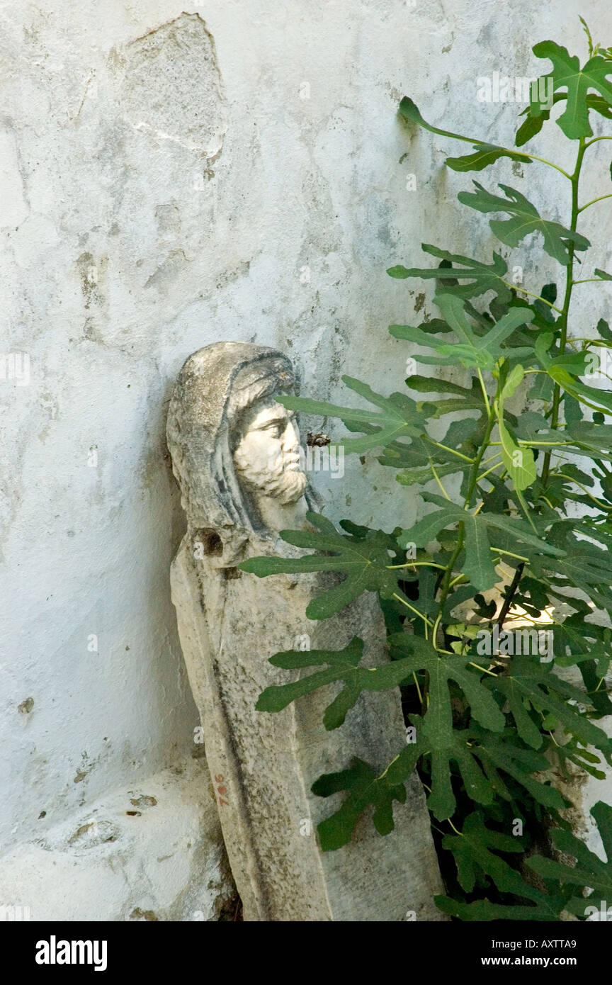 Ancient sculpture and fig tree leaves in a corner of Ephesus Museum ...