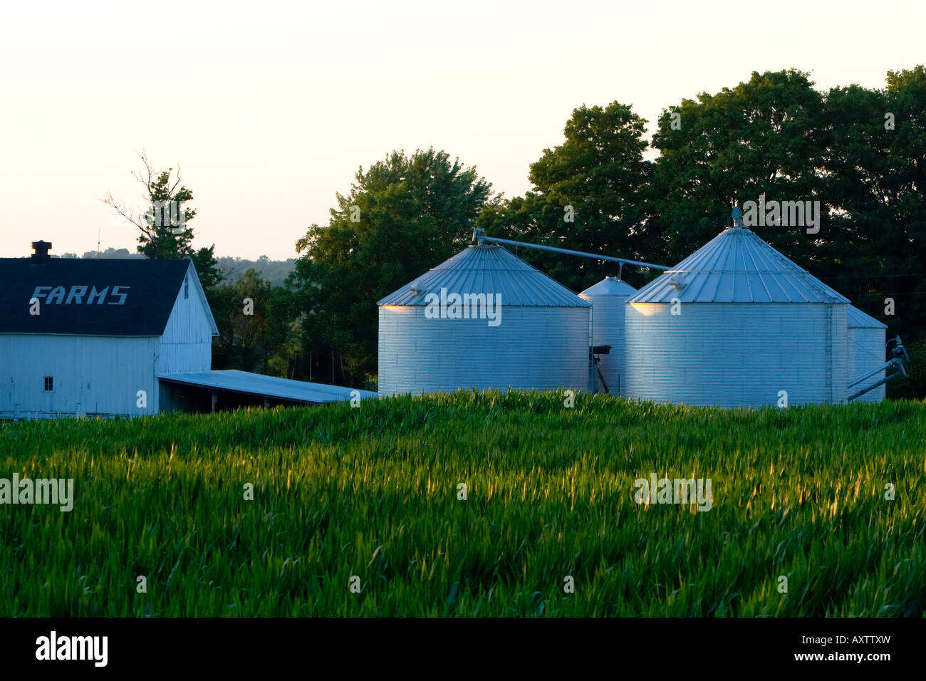 A small farm and corn field in northern Indiana Stock Photo - Alamy