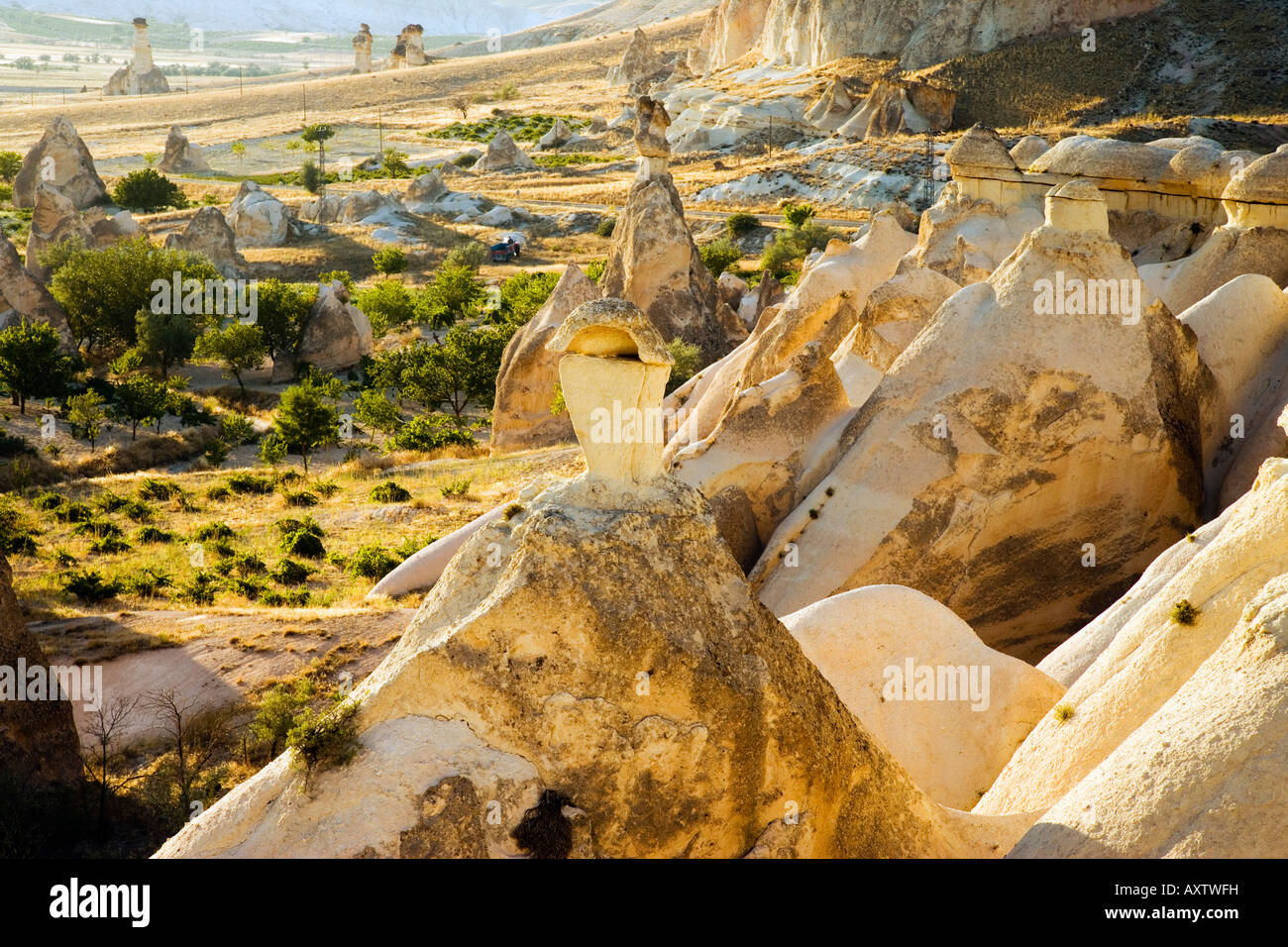 Pasabag fairy chimneys, Zelve valley, Cappadocia, Turkey Stock Photo ...