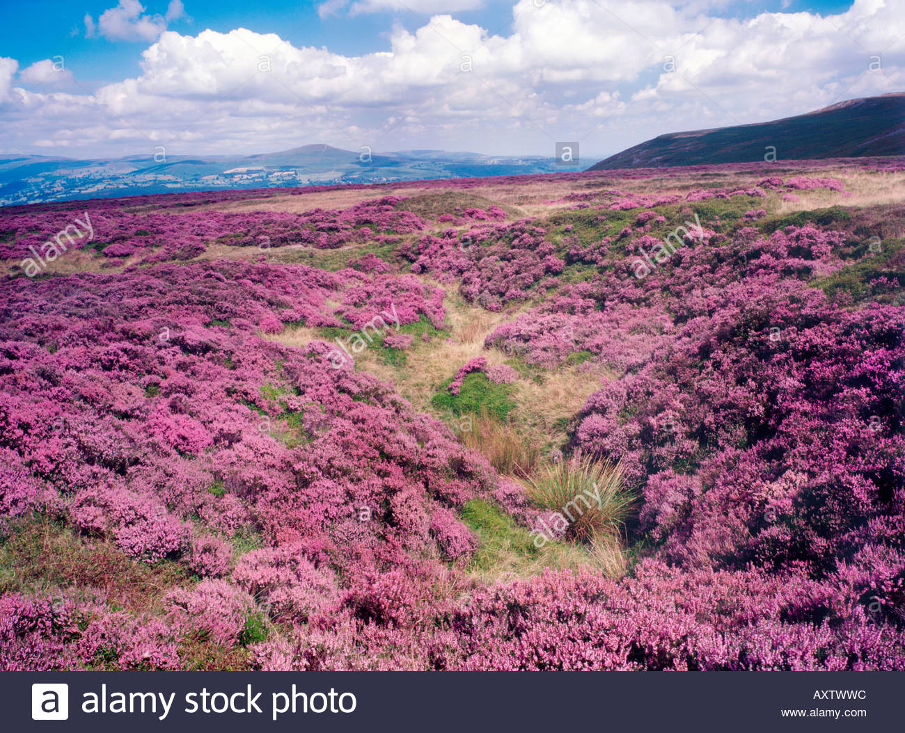Pwll Du High Resolution Stock Photography and Images - Alamy