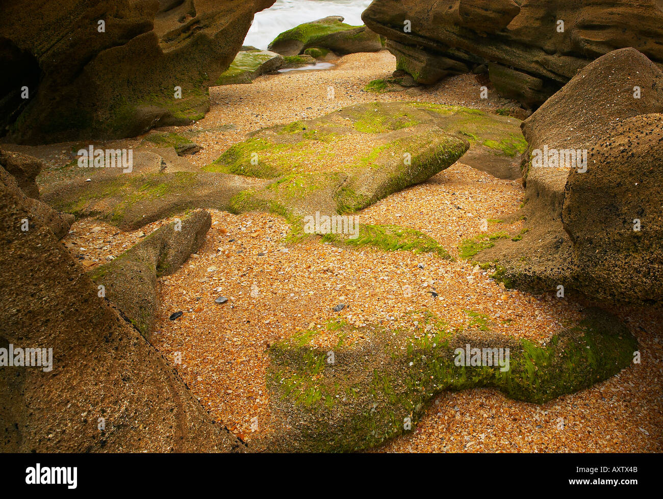 Moss covered rocks Stock Photo - Alamy