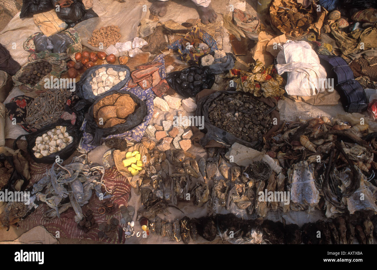 Various dry bats camelian cats heads minerals and herbs used as ...