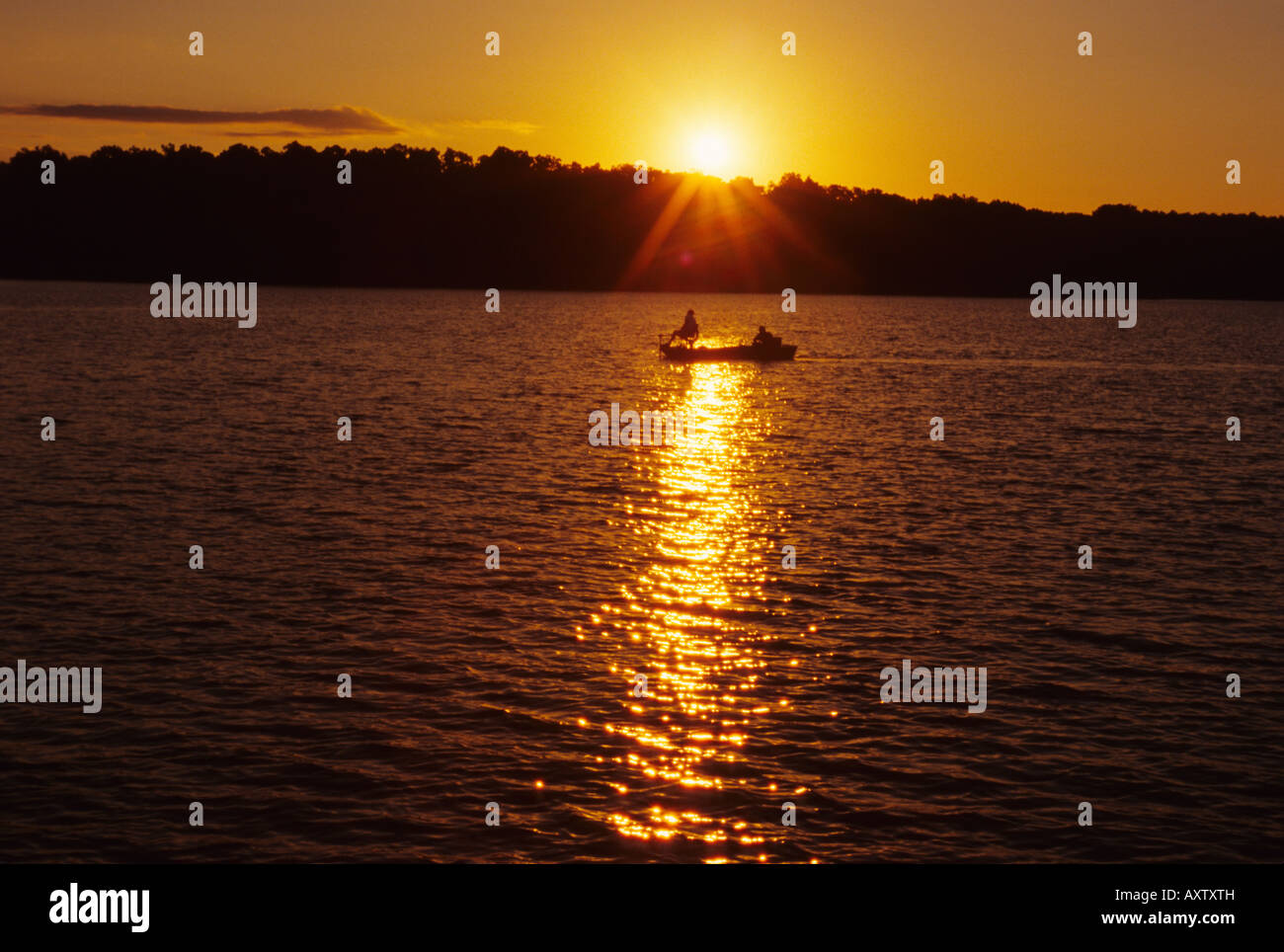 sunset on the lake scenic scenery horizontal nature wilderness forest ...