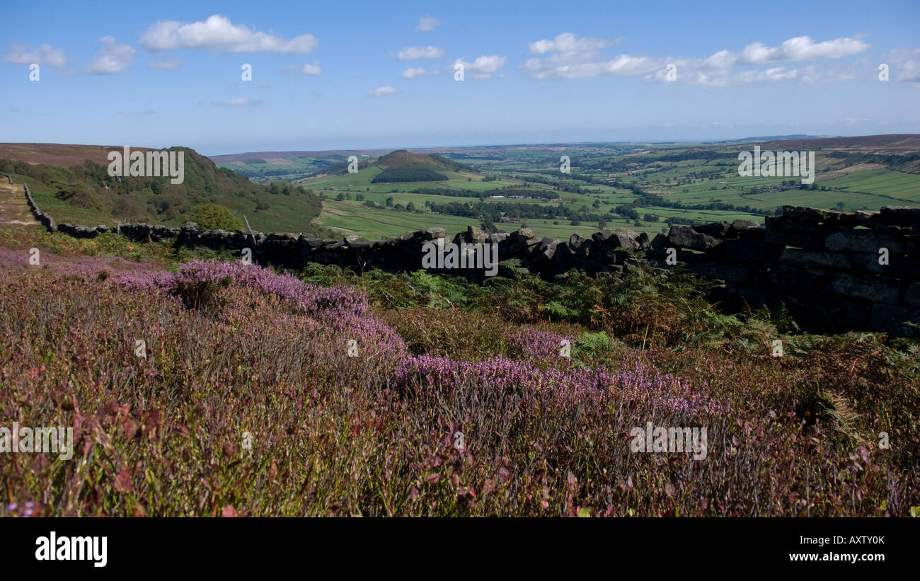 View from Danby High Moor across Fryup Dale on the North York Moors, UK ...