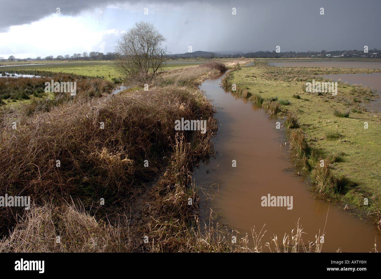 Looking out over the RSPB Pulborough Brooks nature reserve in Sussex ...