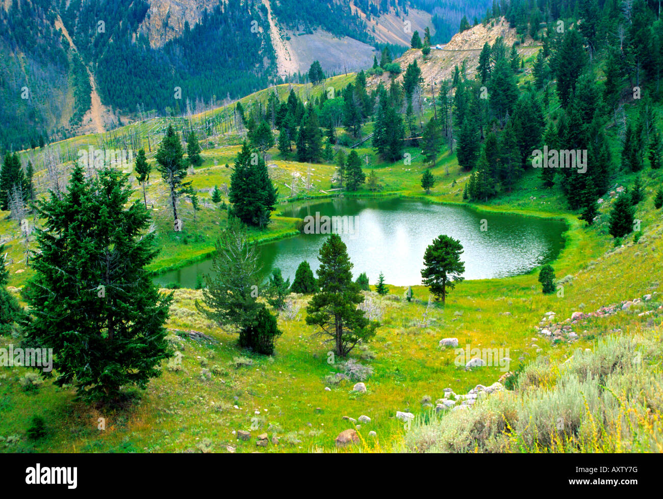 Little lake surrounded by mountains Yellowstone national park land ...