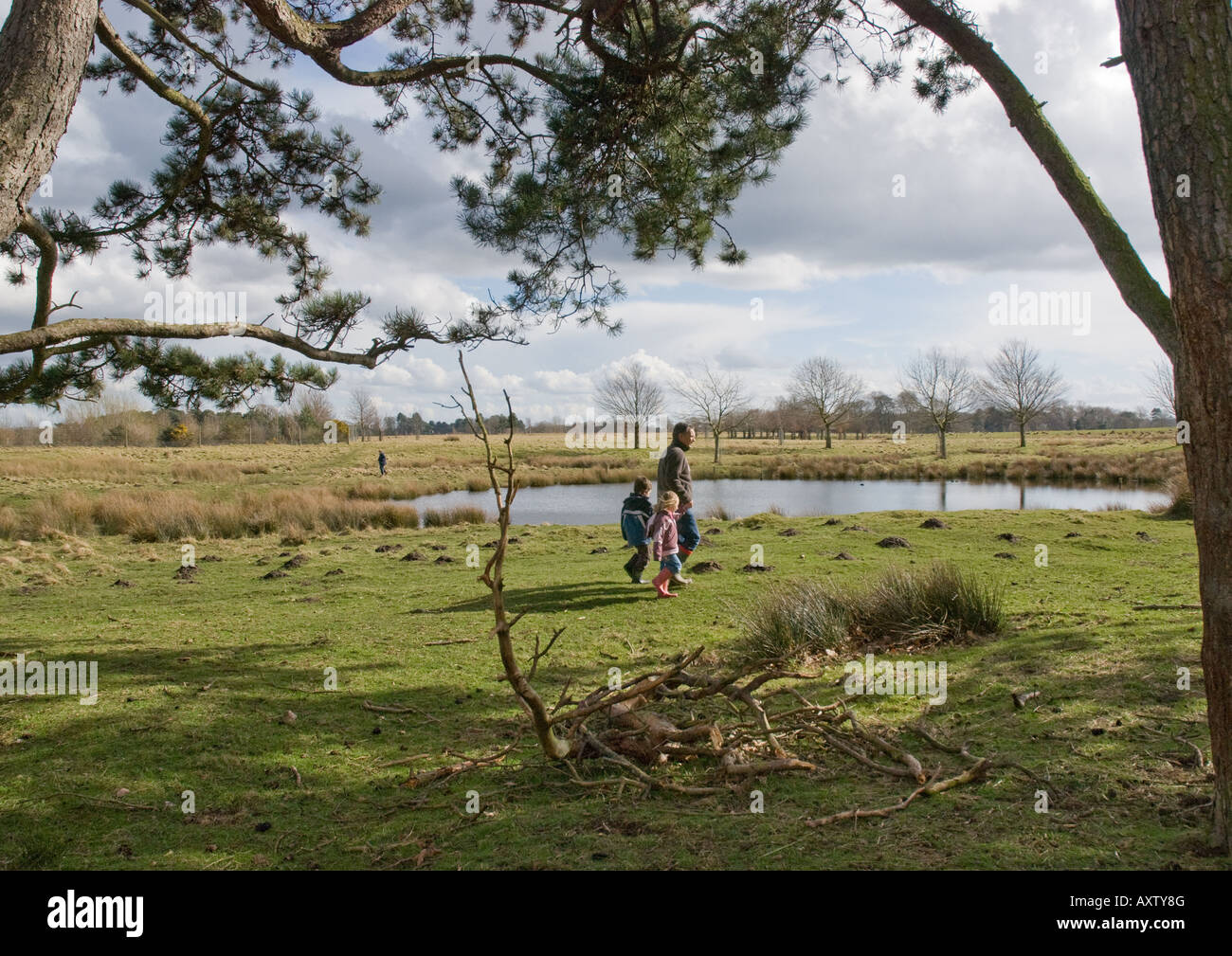 Tatton park cheshire hi-res stock photography and images - Alamy