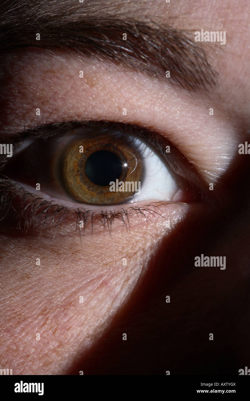 Dramatic close up of a female eye in shadow Stock Photo - Alamy