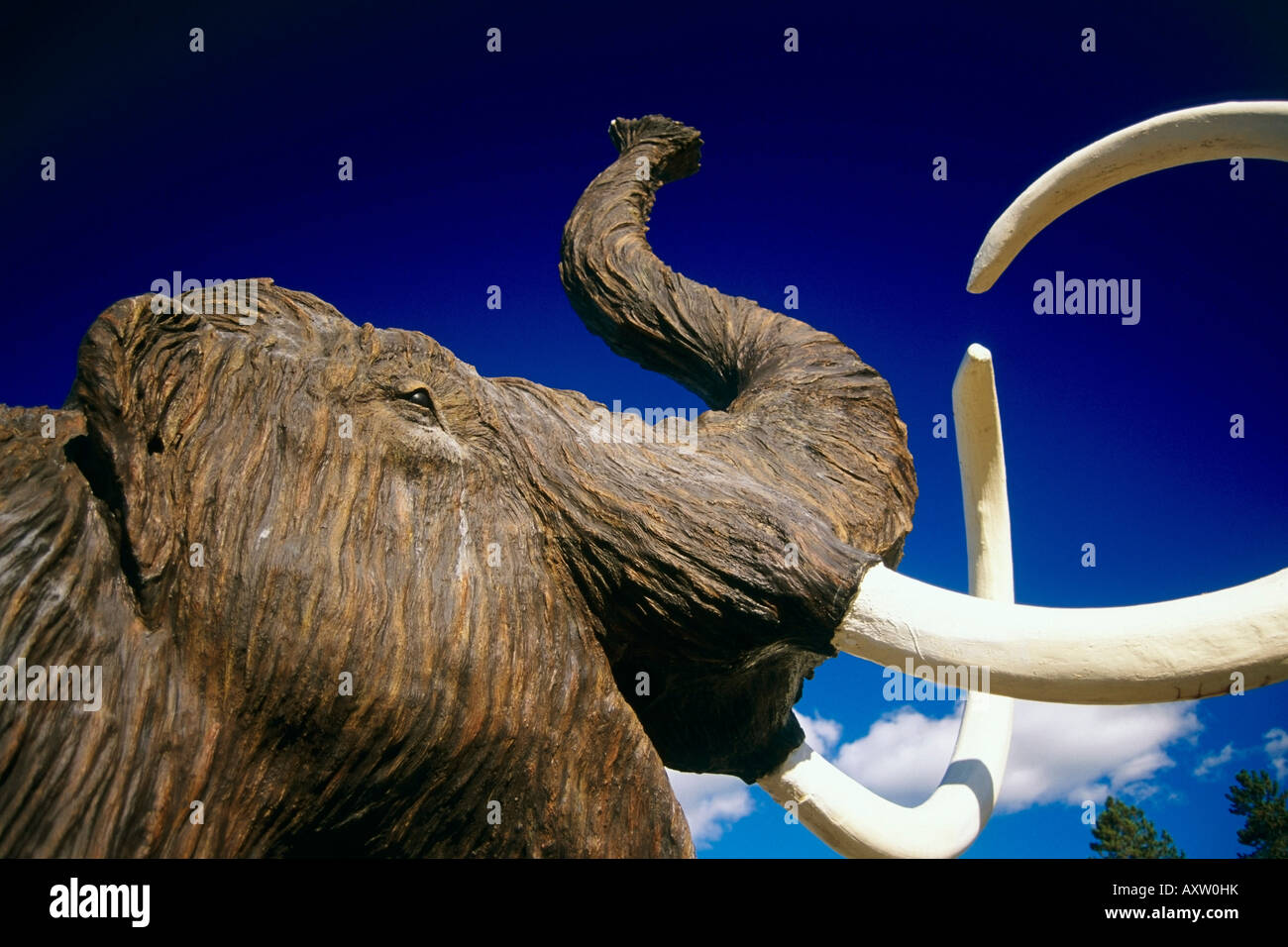 Wooly Mammoth statue in the Yukon Beringia Interpretive Center in ...