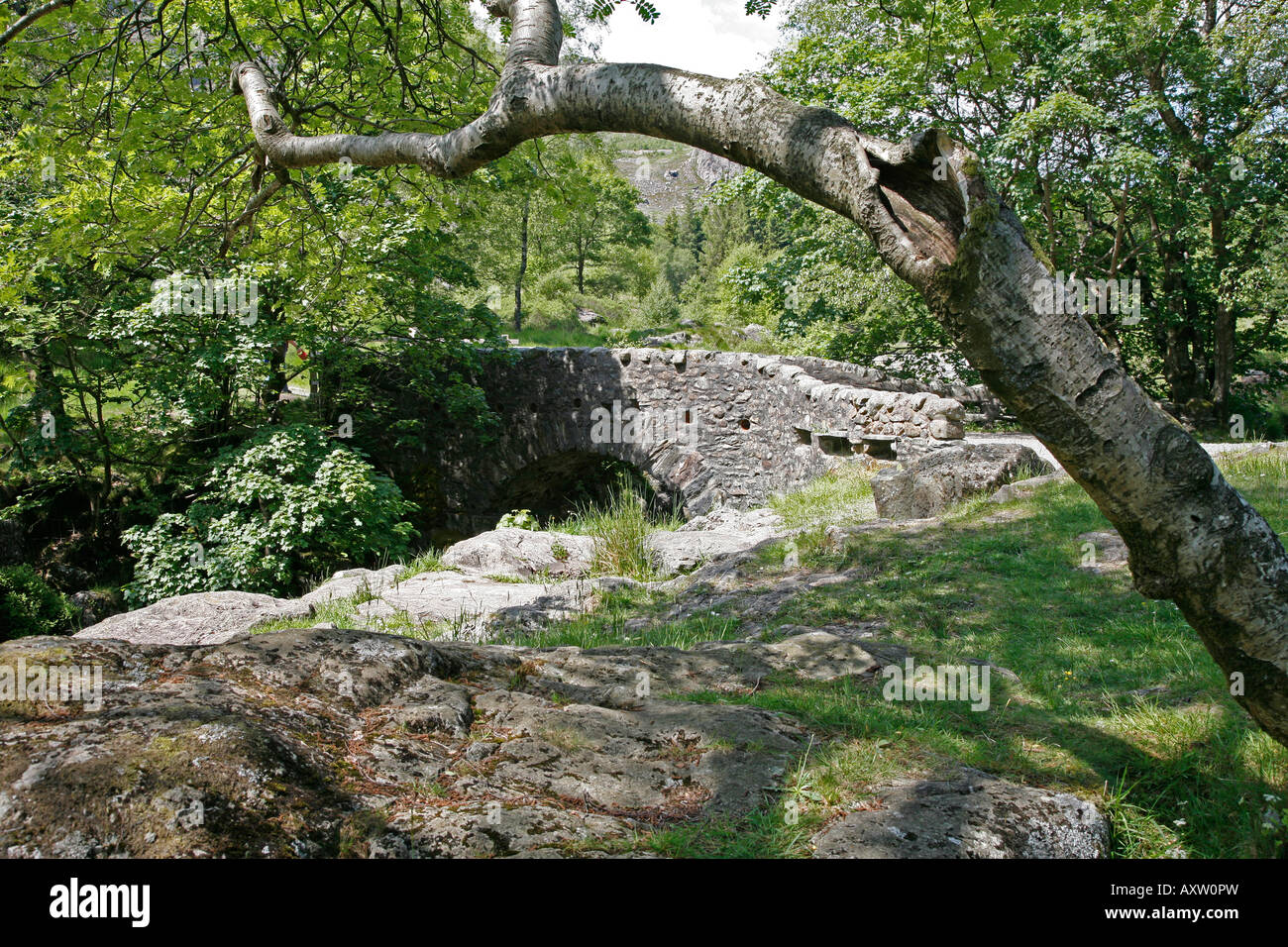 Bridge over river in Grizedale Forest, English Lake District Stock ...