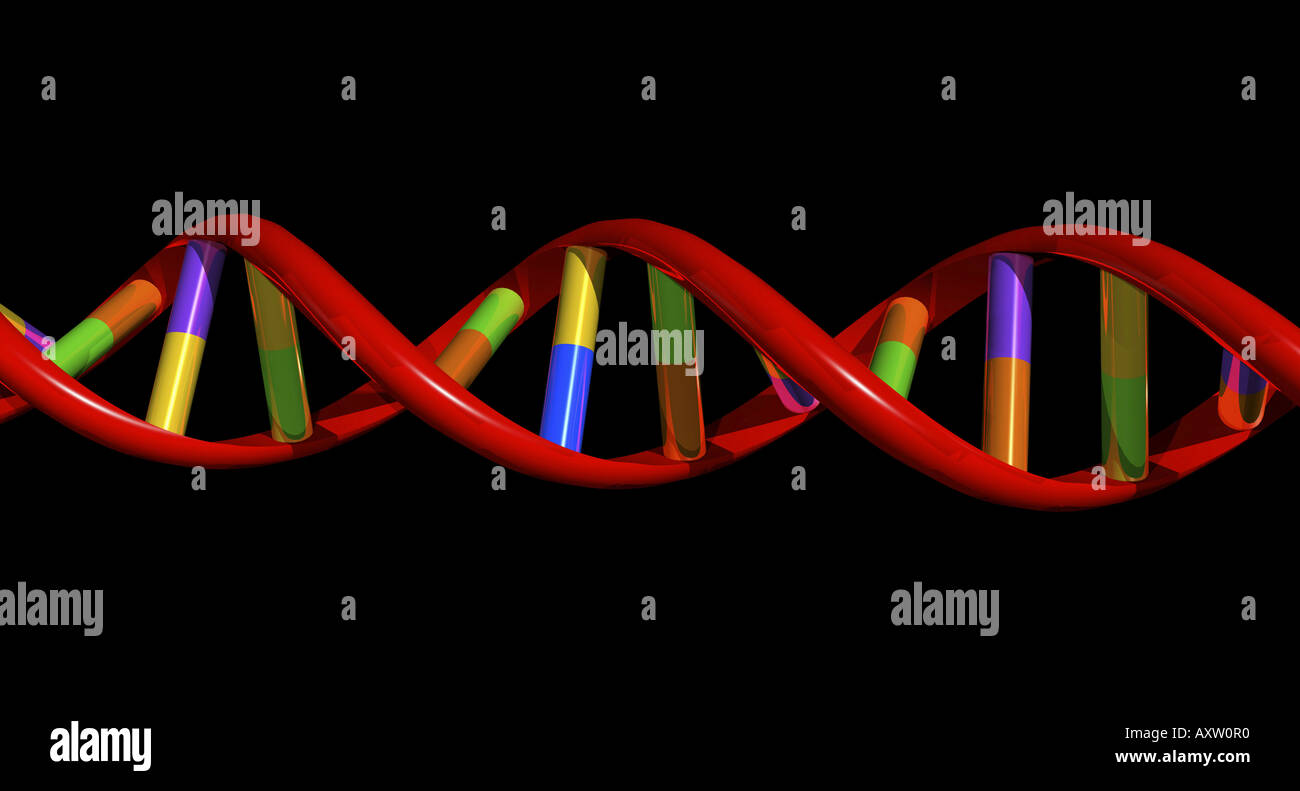 Gene Splicing Stock Photos & Gene Splicing Stock Images - Alamy