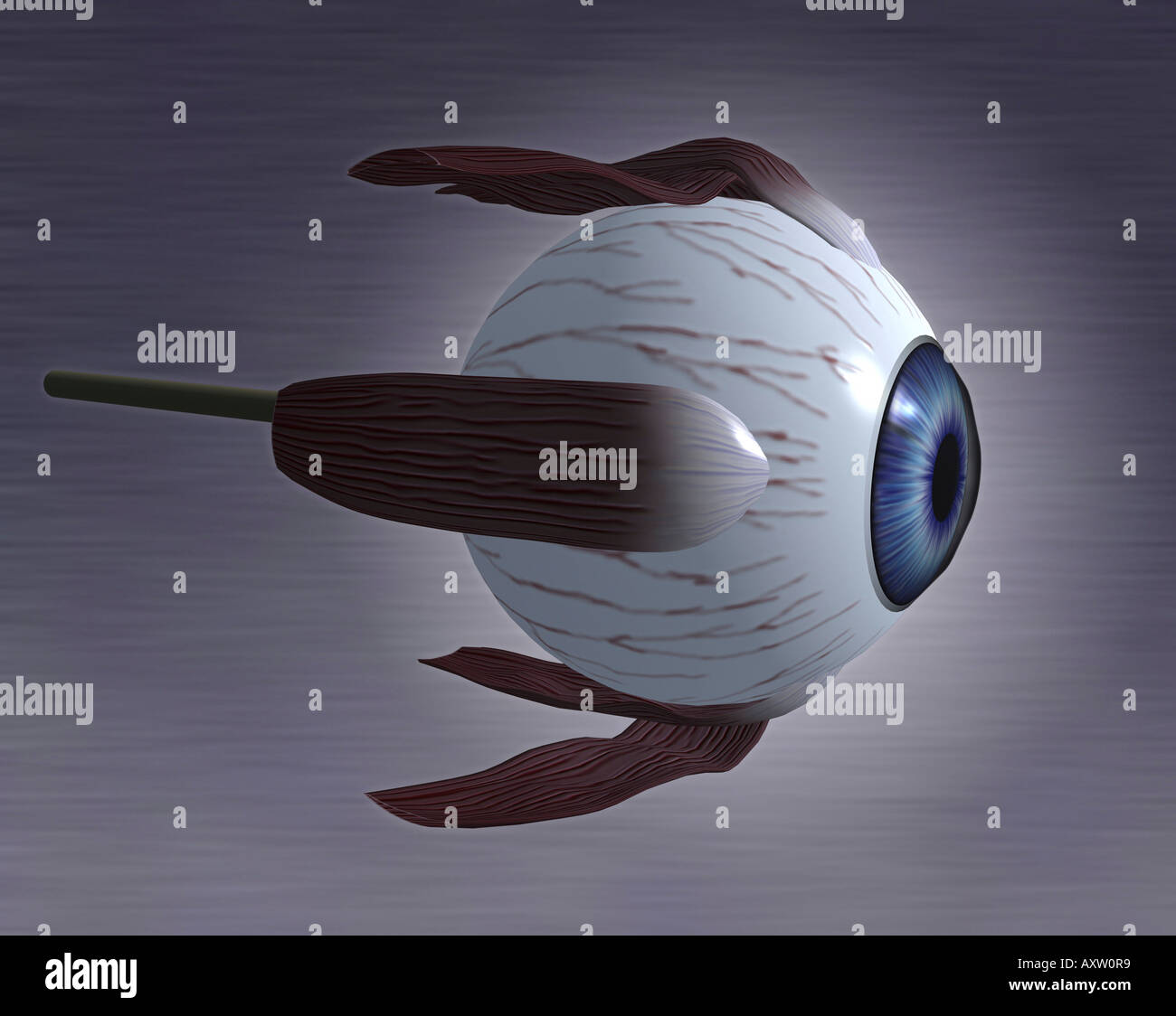 Close-up of the human eyeball Stock Photo - Alamy