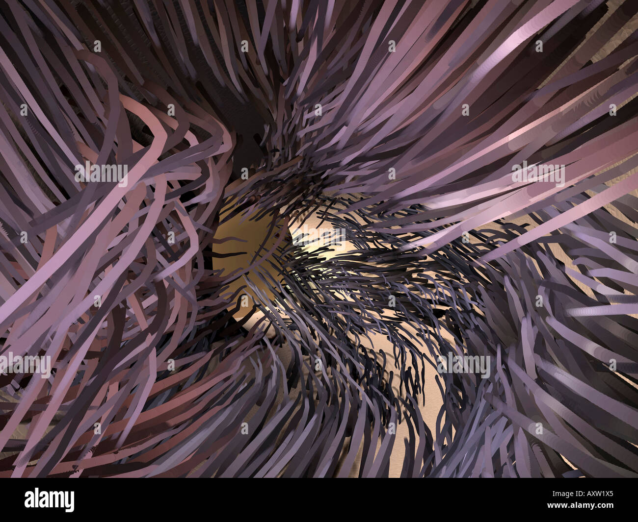 Cochlear hi-res stock photography and images - Alamy