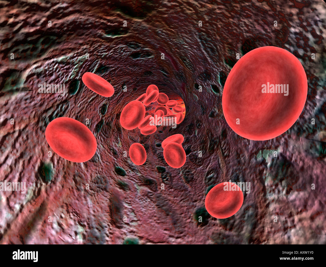 Red Blood Cells Stock Photo - Alamy