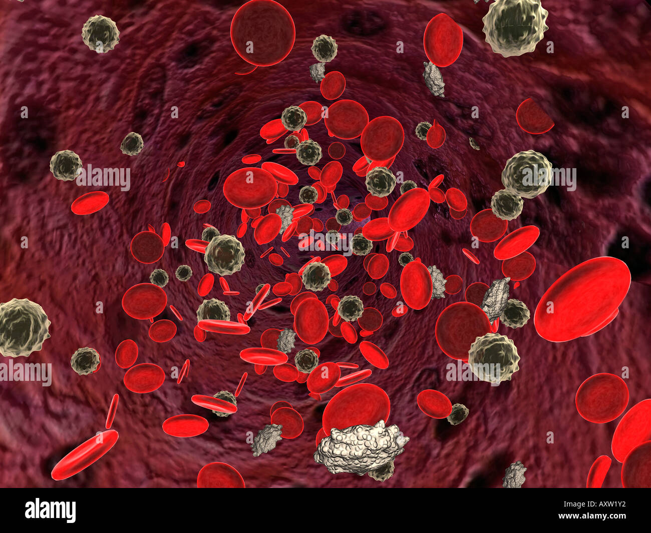 Physiology of red blood cells hi-res stock photography and images - Alamy
