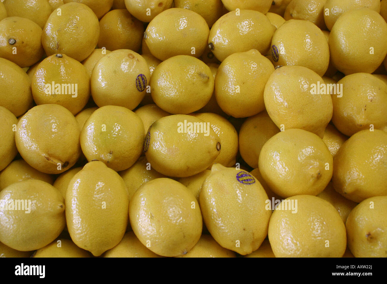 display of lemons Stock Photo - Alamy