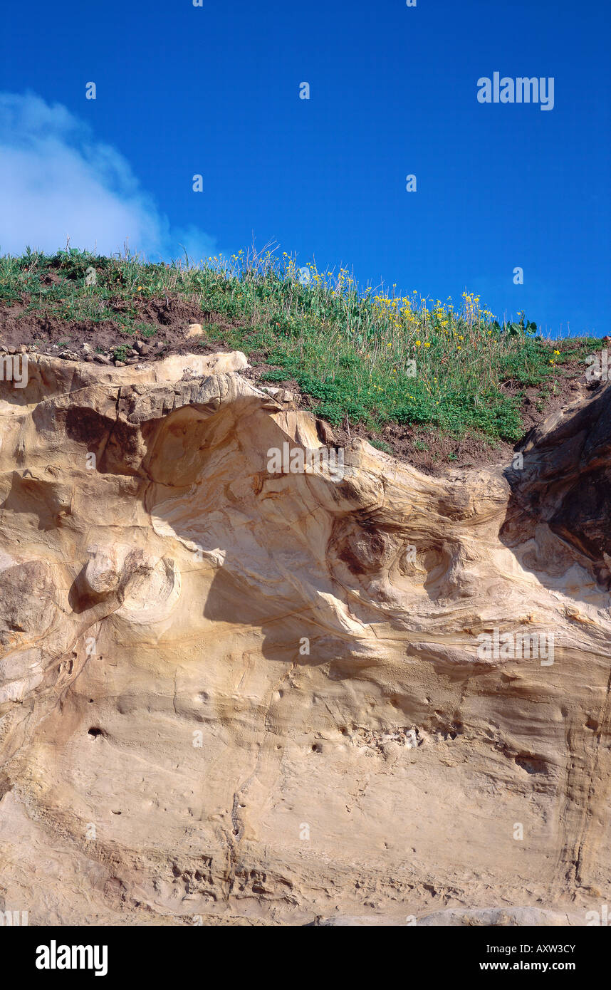 San gregorio california hi-res stock photography and images - Alamy