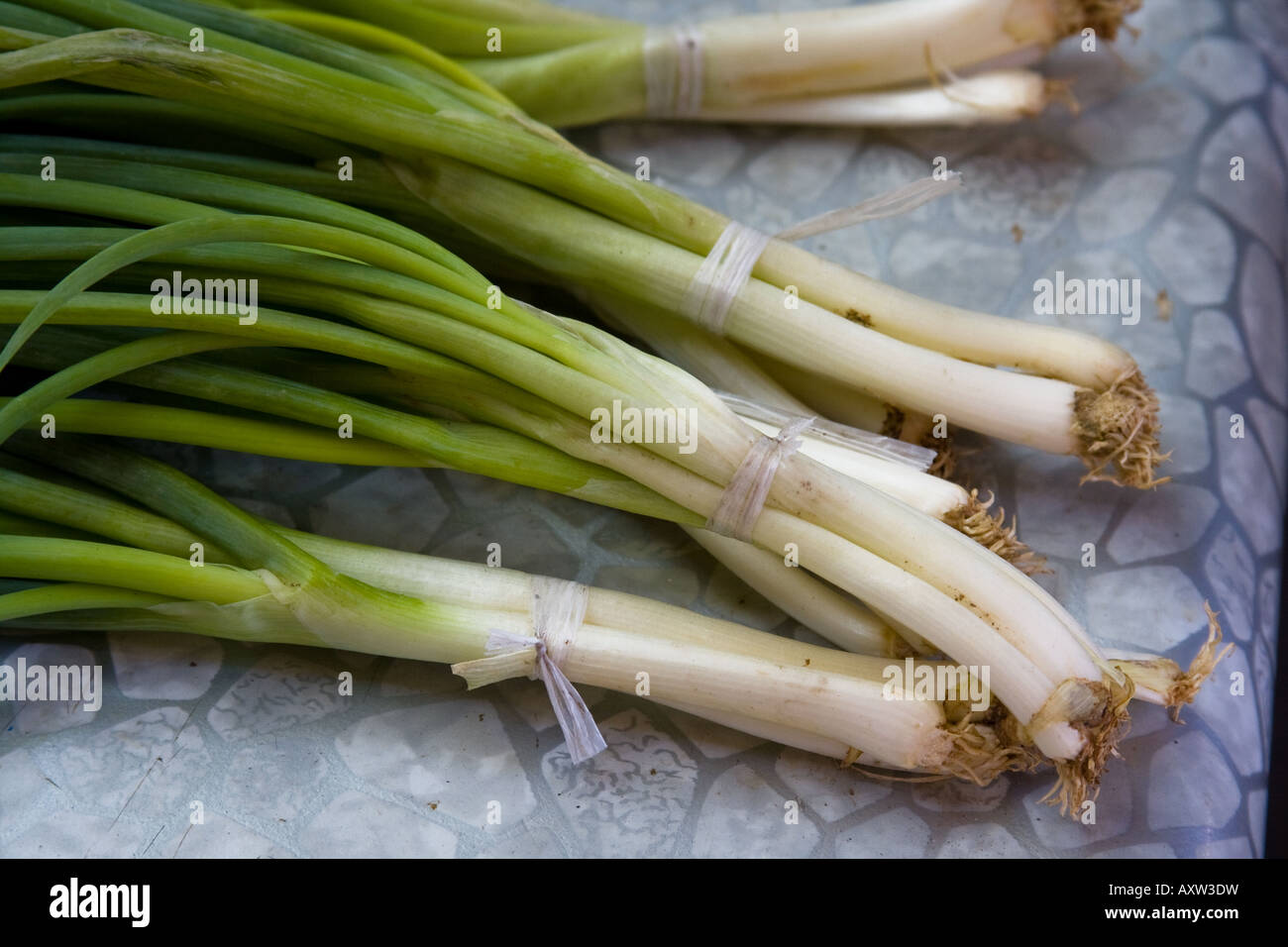 Organic spring onions - salad vegetables Stock Photo - Alamy