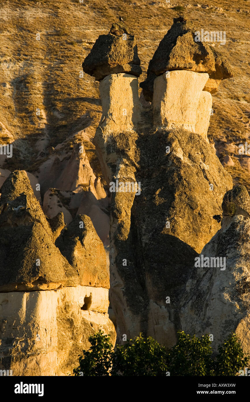 Pasabag fairy chimneys, Zelve valley, Cappadocia, Turkey Stock Photo ...