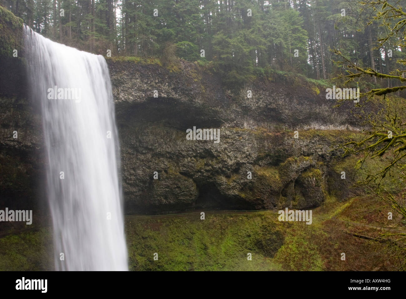 South Falls Silver Creek Falls State Park Oregon USA Stock Photo - Alamy