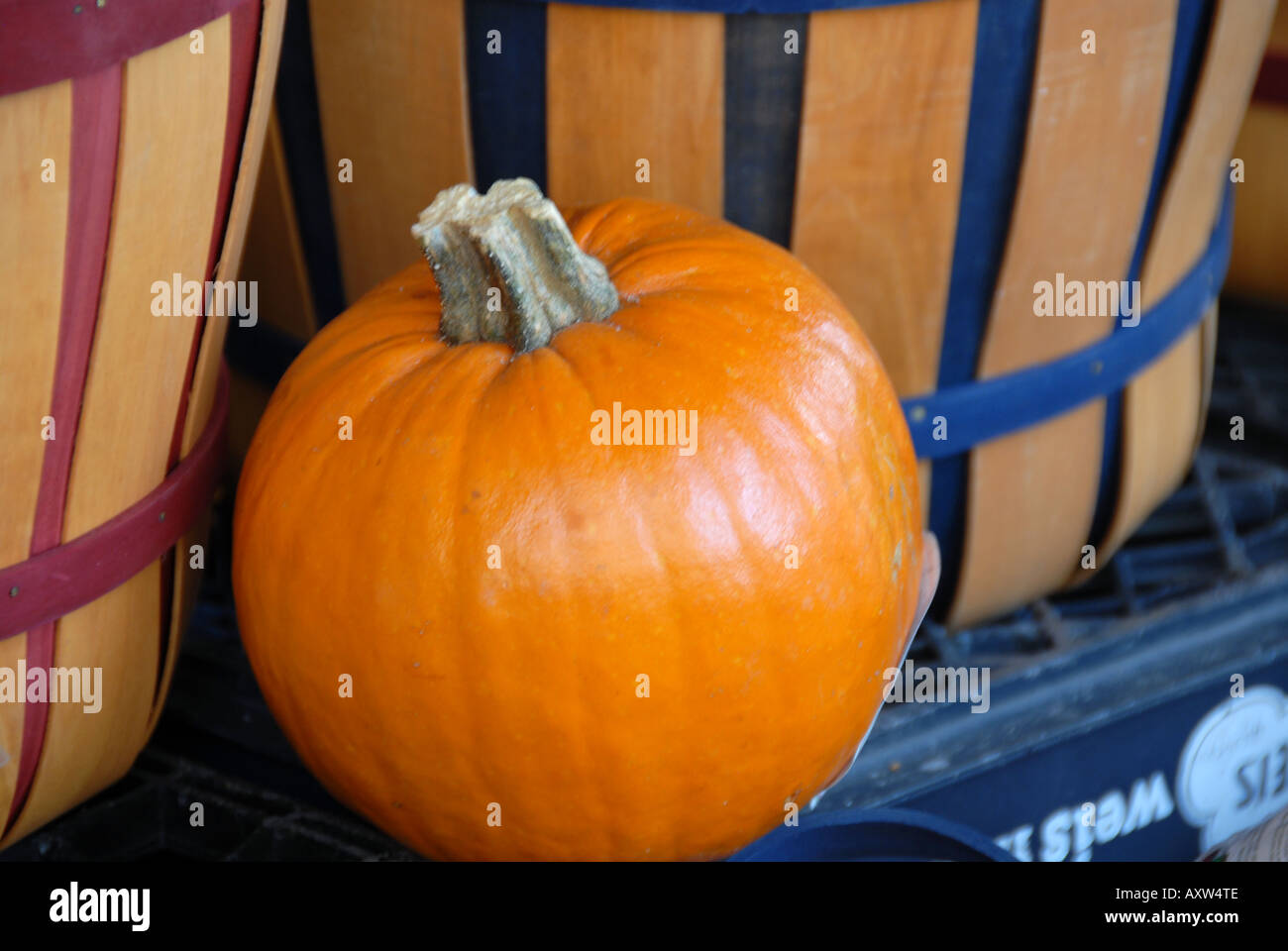 Outdoor fall display hi-res stock photography and images - Alamy