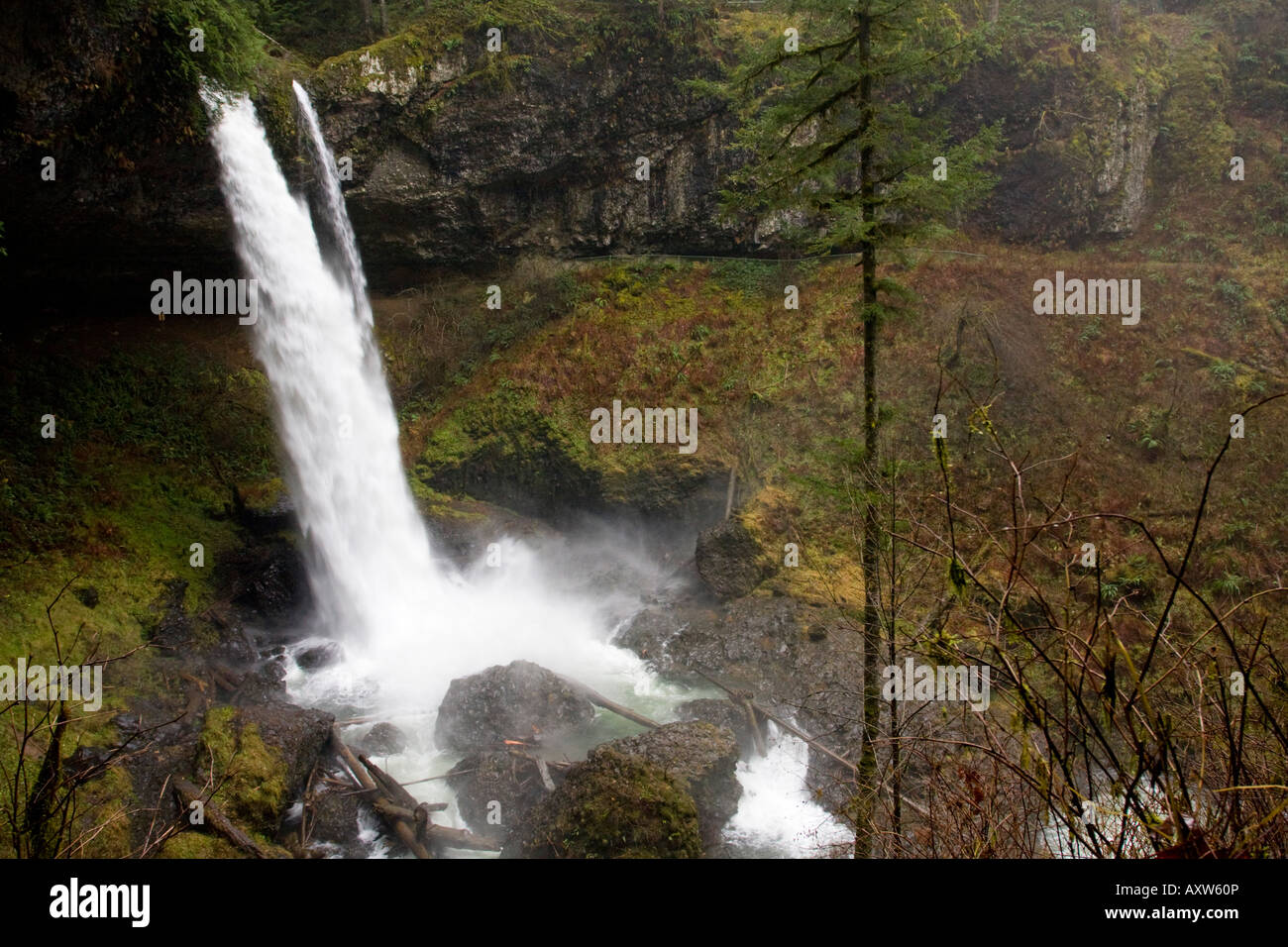 North Falls Silver Creek Falls State Park Oregon USA Stock Photo - Alamy