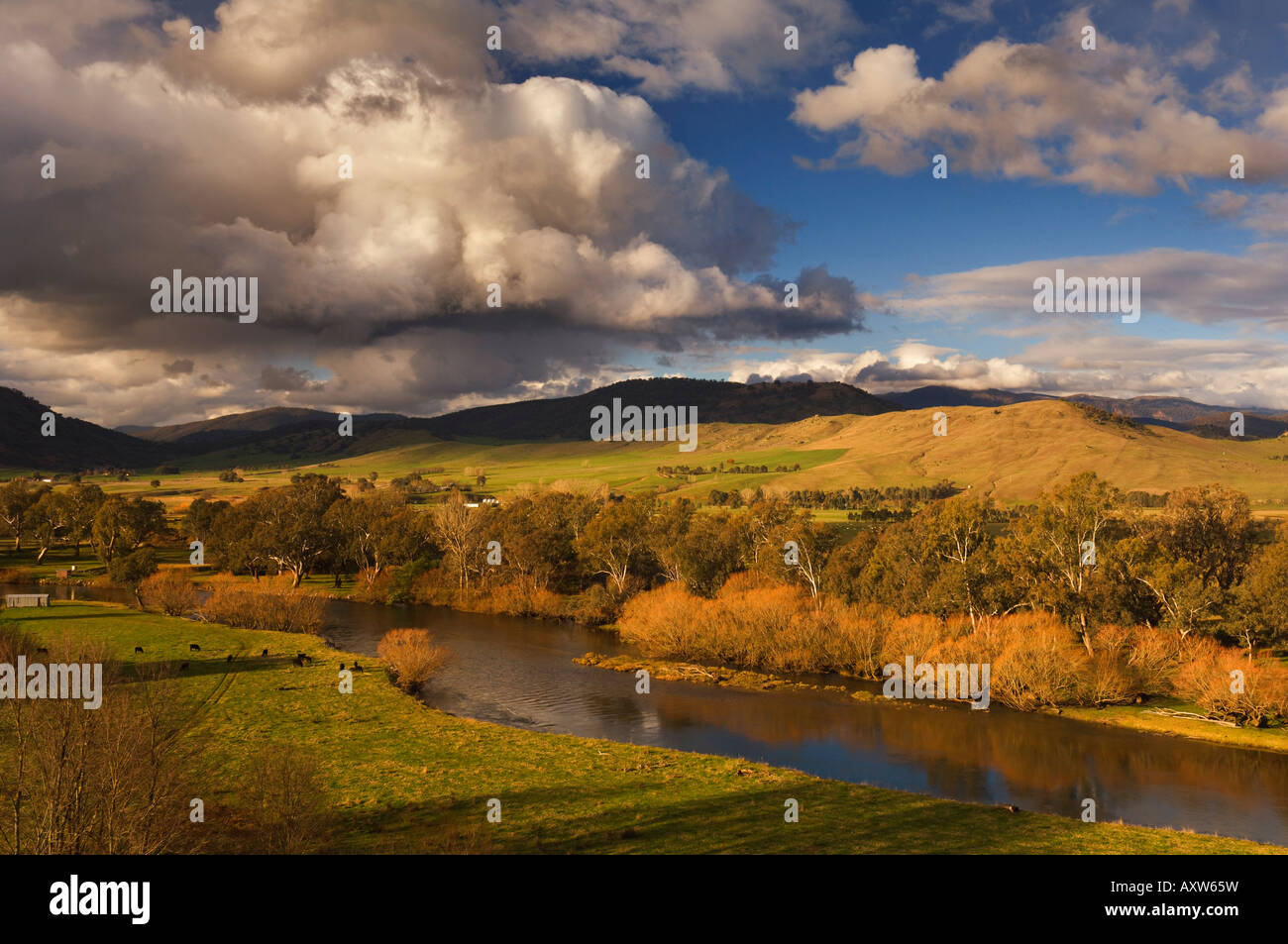 Murray River, near Towong, Victoria, Australia, Pacific Stock Photo - Alamy