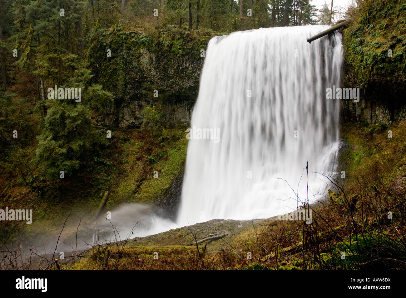 Middle North Falls Silver Falls State Park Oregon USA Stock Photo - Alamy