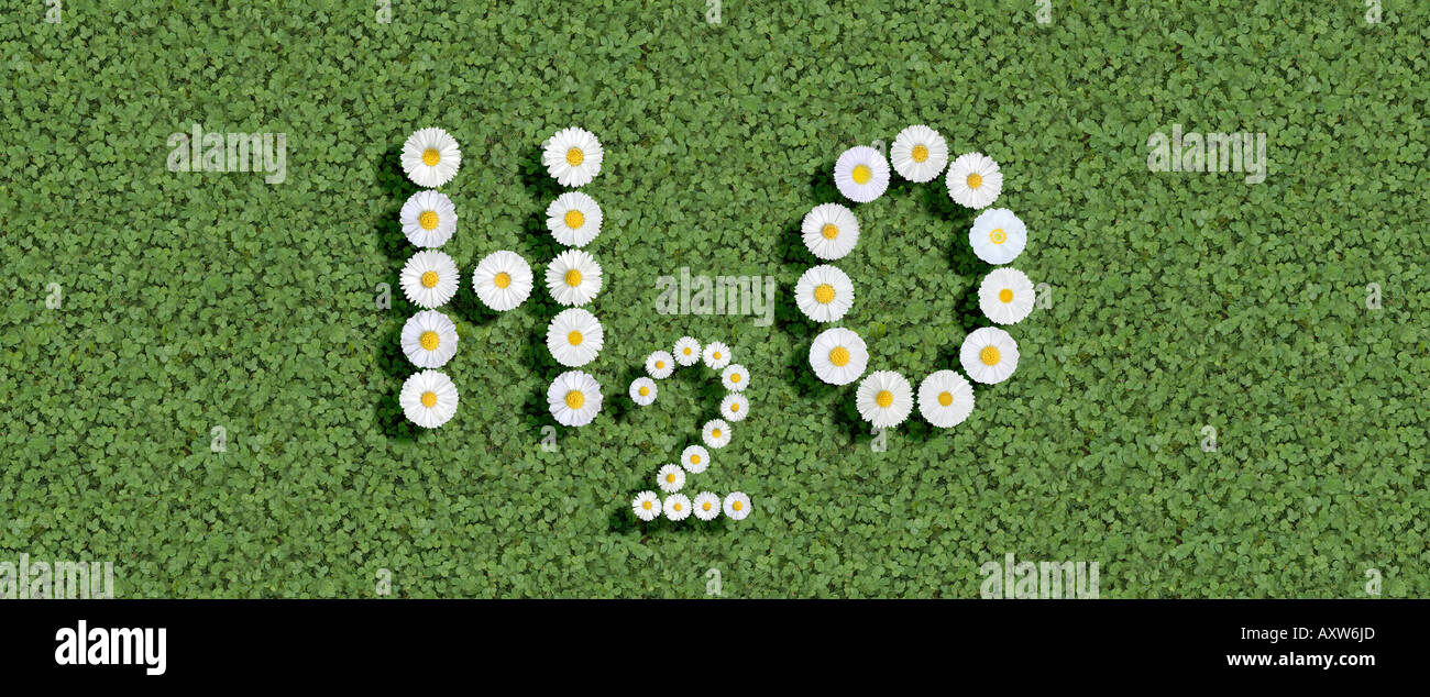chemical formula of water written with flowers h 2 o Stock Photo - Alamy